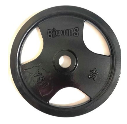 Biggins 2.0 - Machined Cast Iron Training Plates (PAIR) | Garage Gym ...